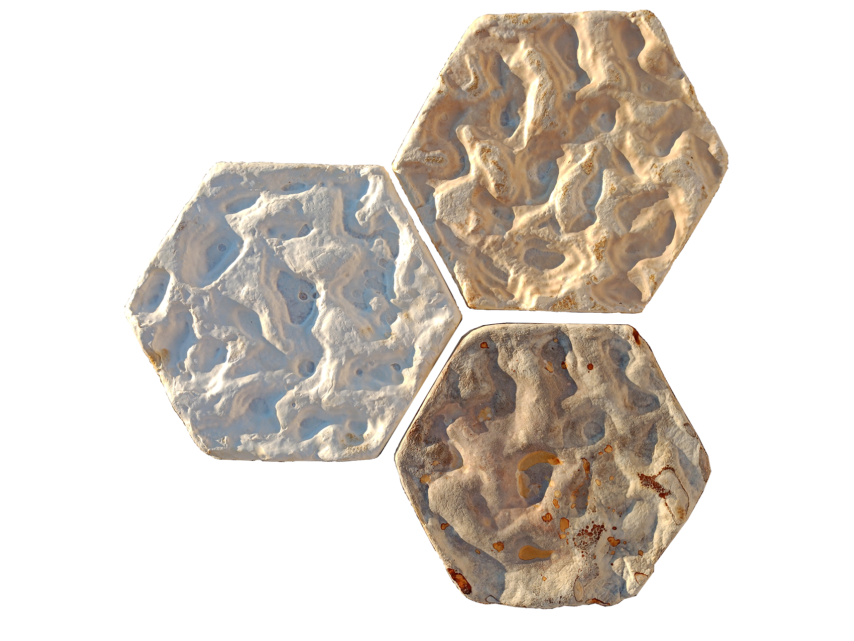 MYKOPANEL – We design and fabricate mycelium-based panels, bringing ...